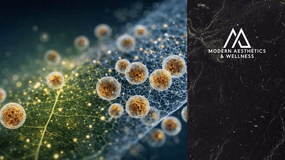 Plant-Based vs. Human-Based Exosomes: Why Source Matters